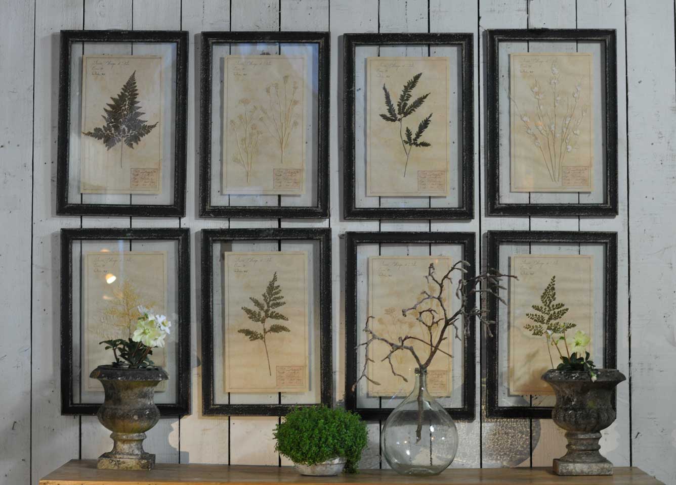 Framed Pressed Botanical Artwork Home Barn Vintage