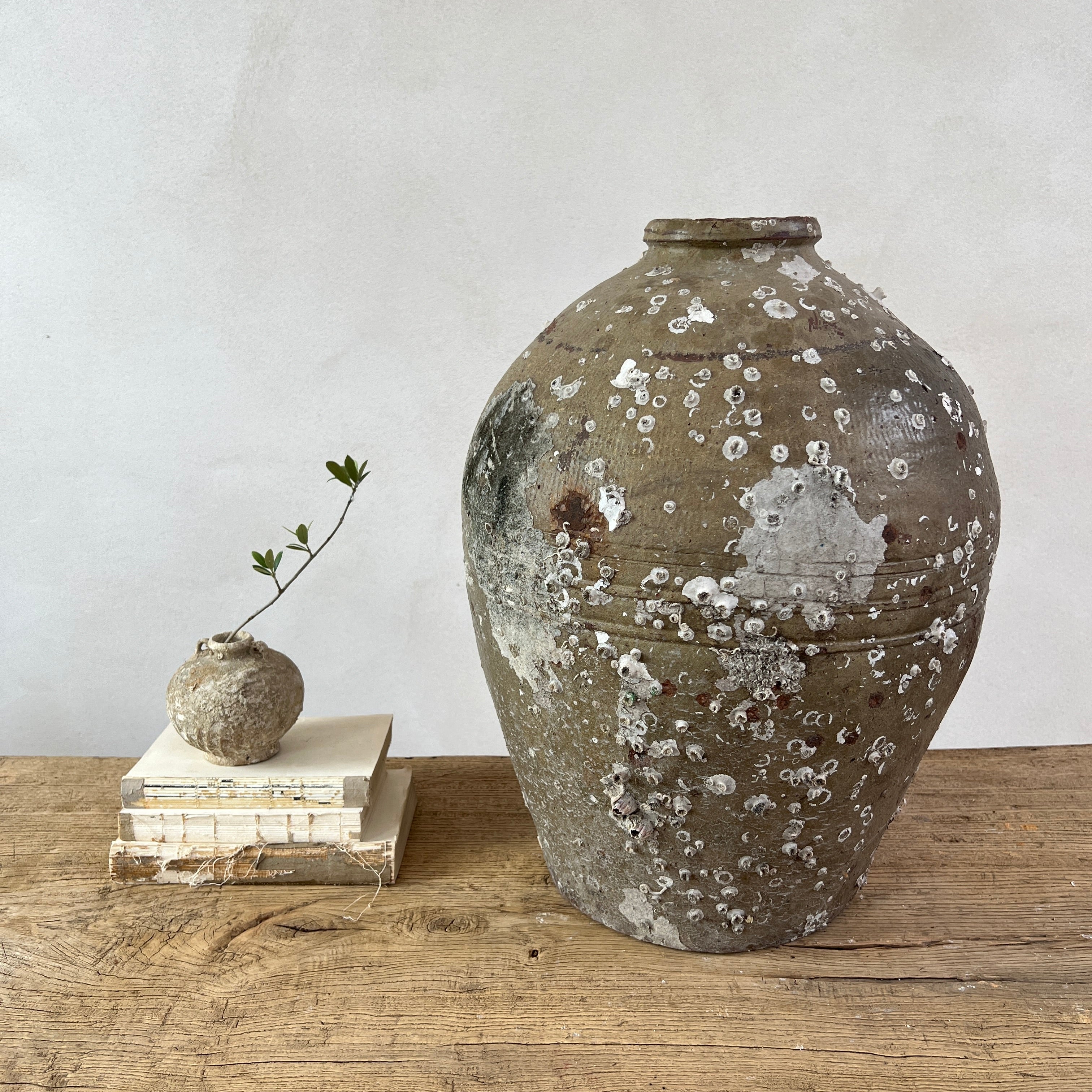 Antique rice wine urn from shipwreck | CH2 – Home Barn