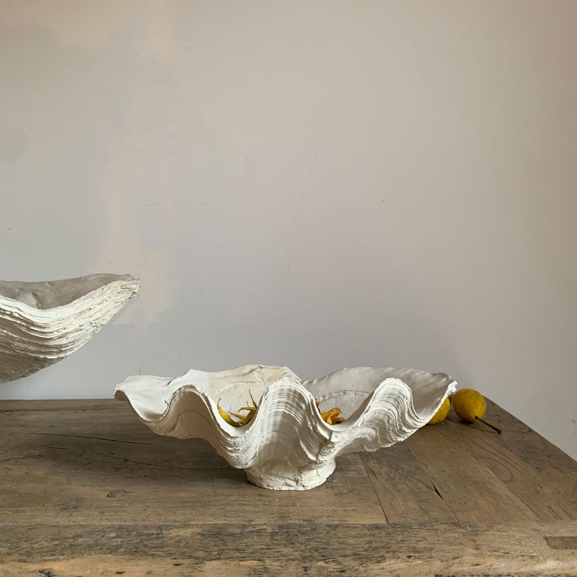 Plaster Clam Shell Vase | Extra Small – Home Barn