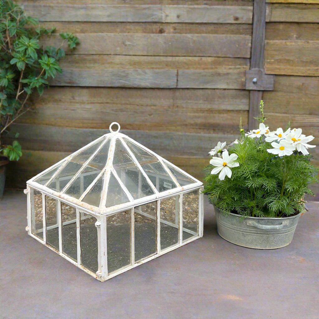 Antique Georgian Garden Cloche – Home Barn
